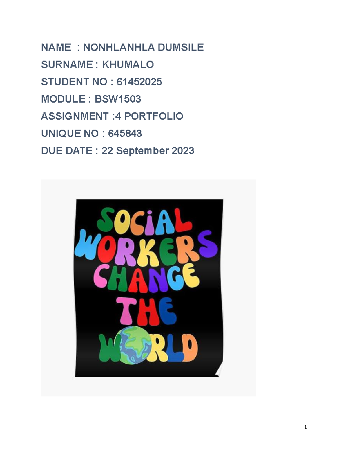BSW 1503 Portfolio Assignment 4: Social Work Perspectives and Insights ...