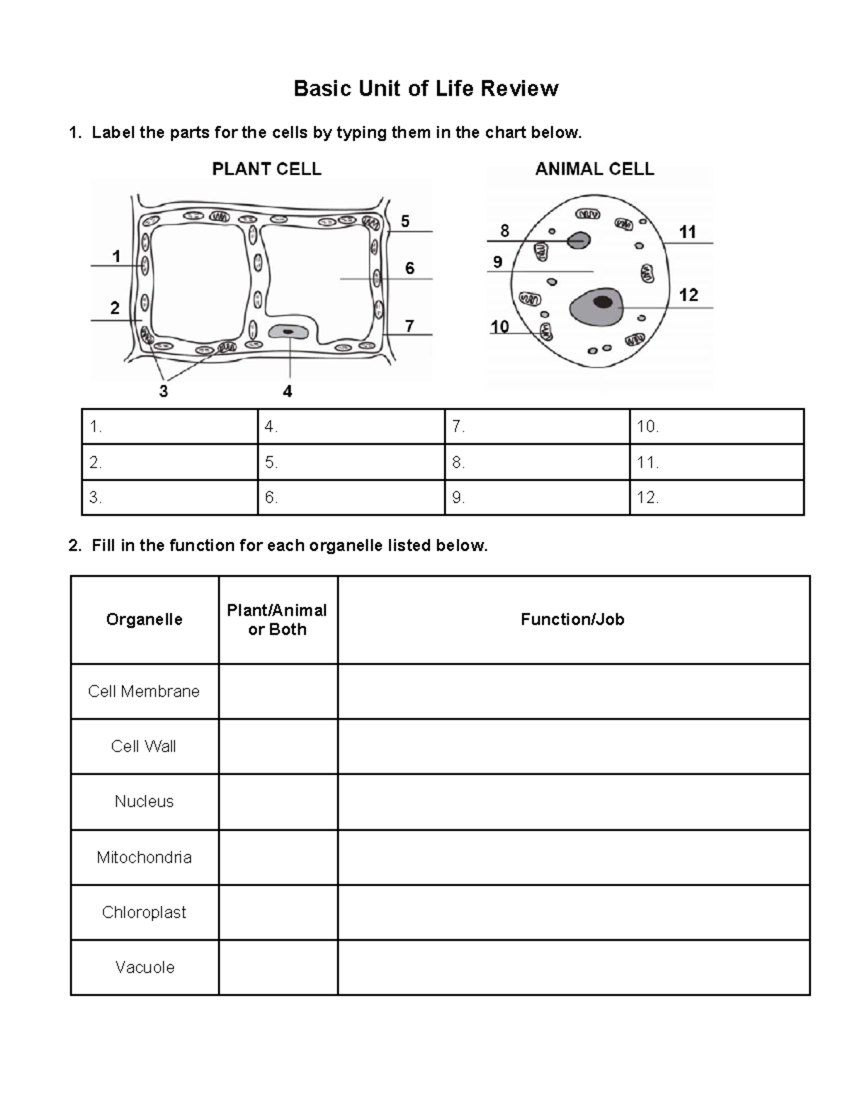 Adam Schmidtendorff - Basic Unit of Life Test Review - Basic Unit of ...