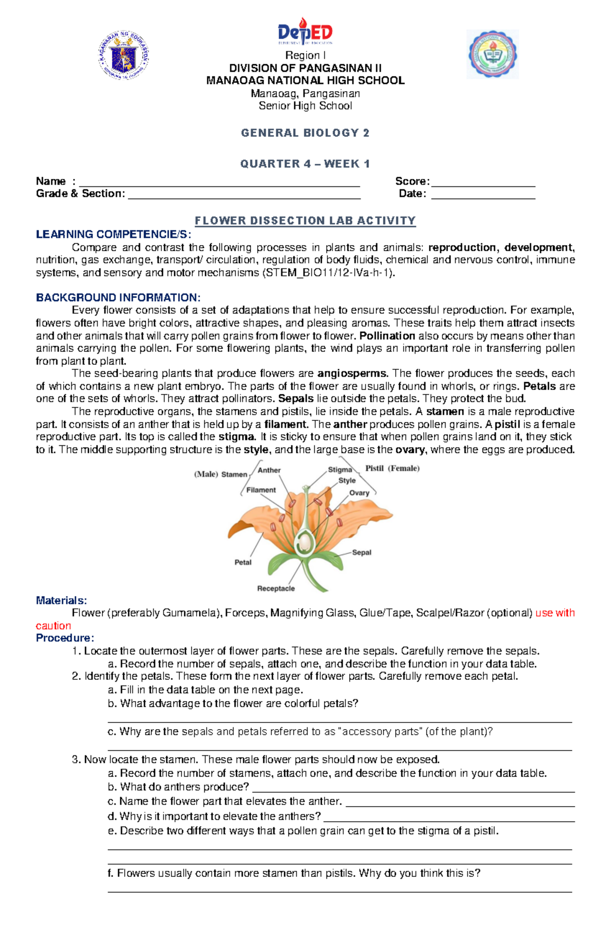 Flower Dissection Lab Activity (STEM_BIO11/12-IVa-h-1) - Studocu