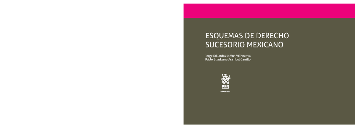 Esquemas de Derecho Sucesorio Mexicano (Tmx 256248) - Guía Didáctica ...