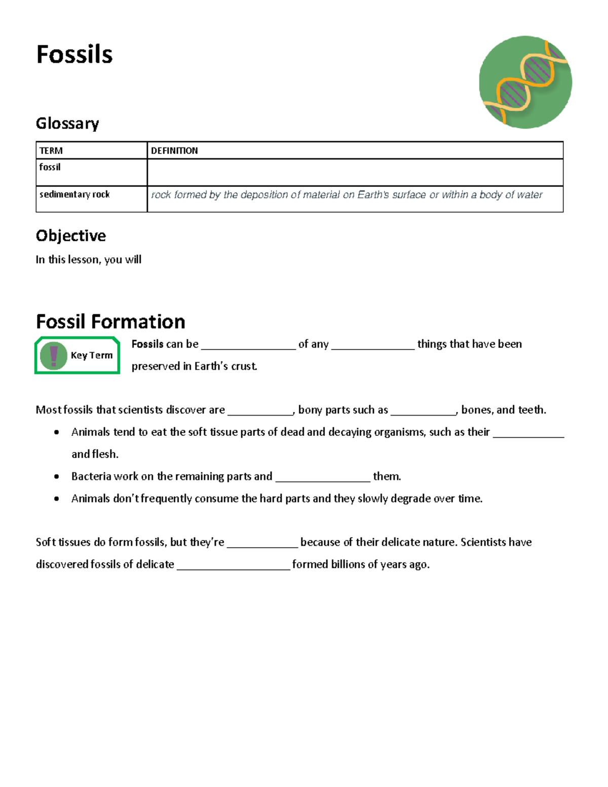 Guided Notes - Fossil Formation - Science 101 - Studocu
