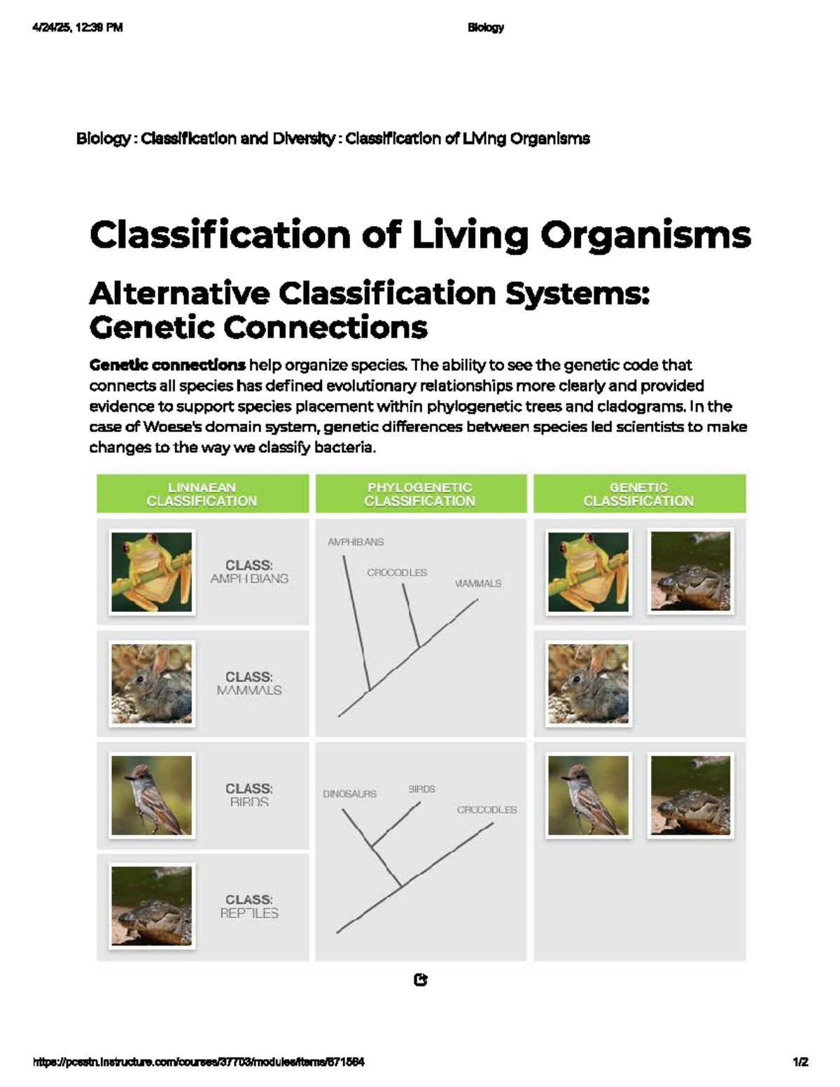 Classification of Living Organisms - Biology 101 Lecture Notes - 12:39 ...