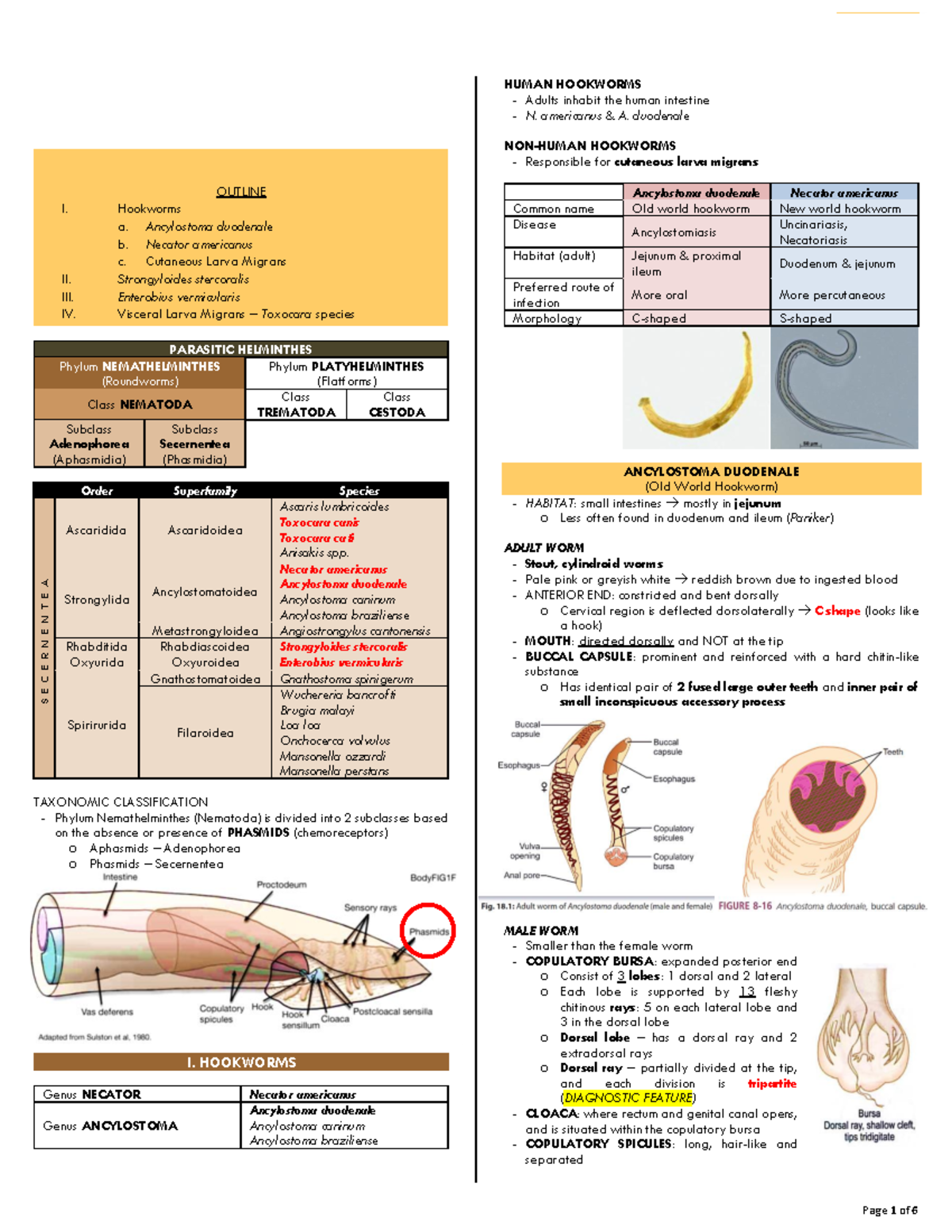 Secernentea - Lec 1-4 - LECTURER: Danilo D. Deveza Jr., MD, MHM ...