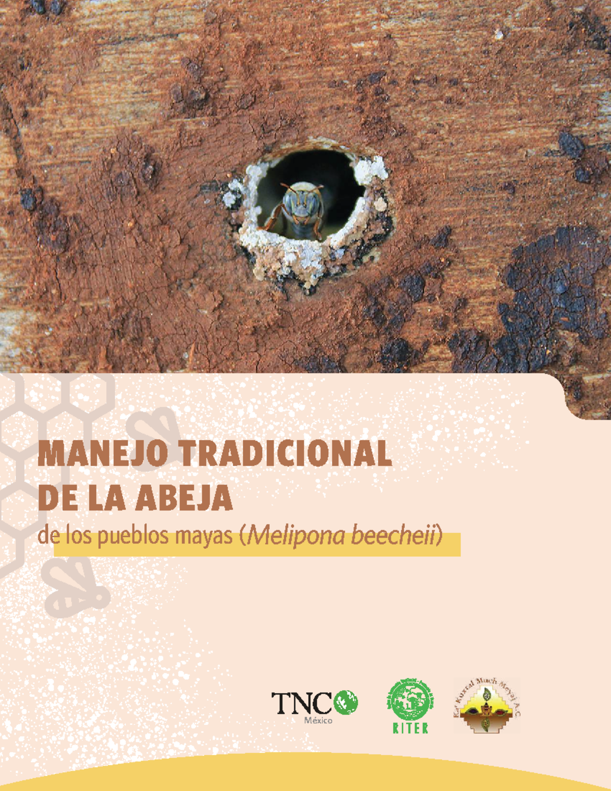 Manejo Tradicional de la Abeja Melipona en los Pueblos Mayas (MAY-101 ...