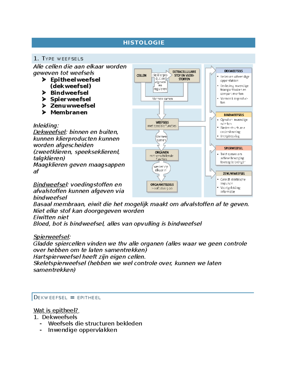 HISTOLOGIE 1: Samenvatting van Weefsels en Hun Functies - Studocu