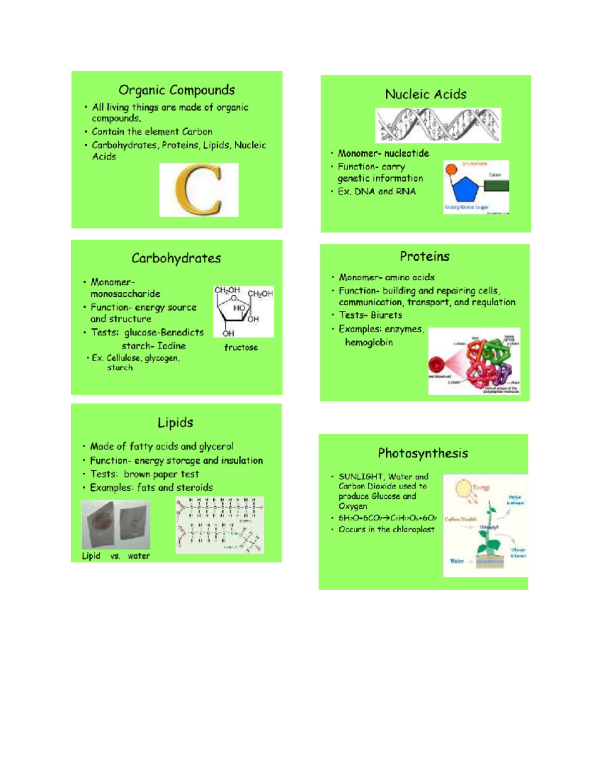 Biology EOC Review: Macromolecules, Water, Photosynthesis & Respiration ...