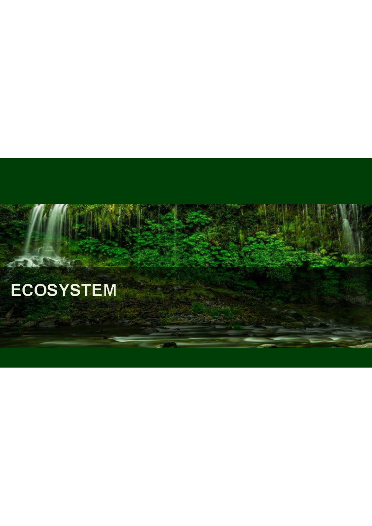 ECOSYSTEM Unit 2: Introduction to Ecosystem Concepts and Dynamics - Studocu