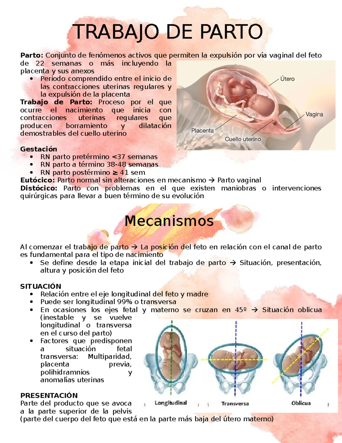 Maniobras de Leopold: Guía Completa para Ginecología y Obstetricia ...