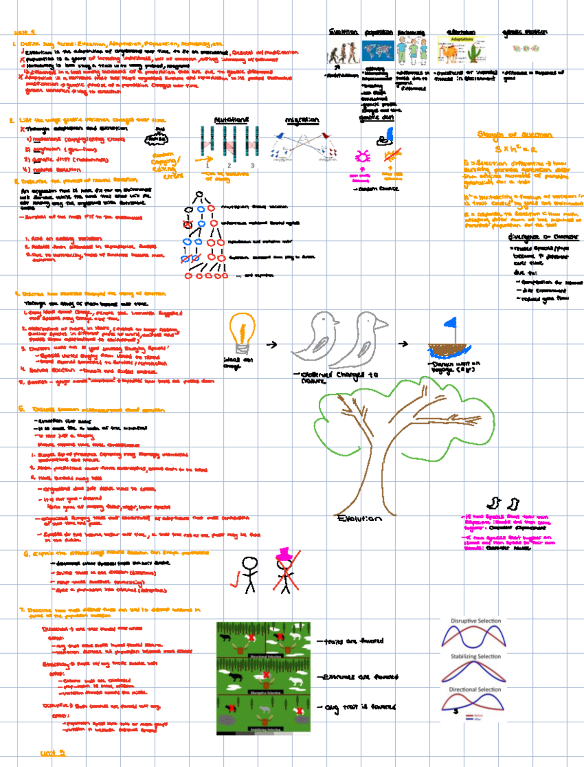 Population Genetics: Evolution, Heritability & Hardy-Weinberg ...