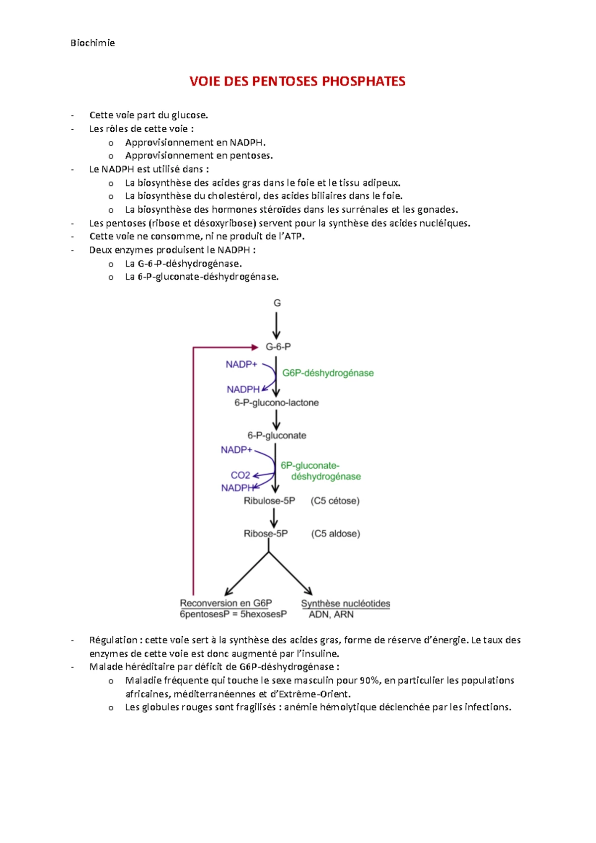 Les acides aminés - Caractéristiques générales I. Formule générale des ...