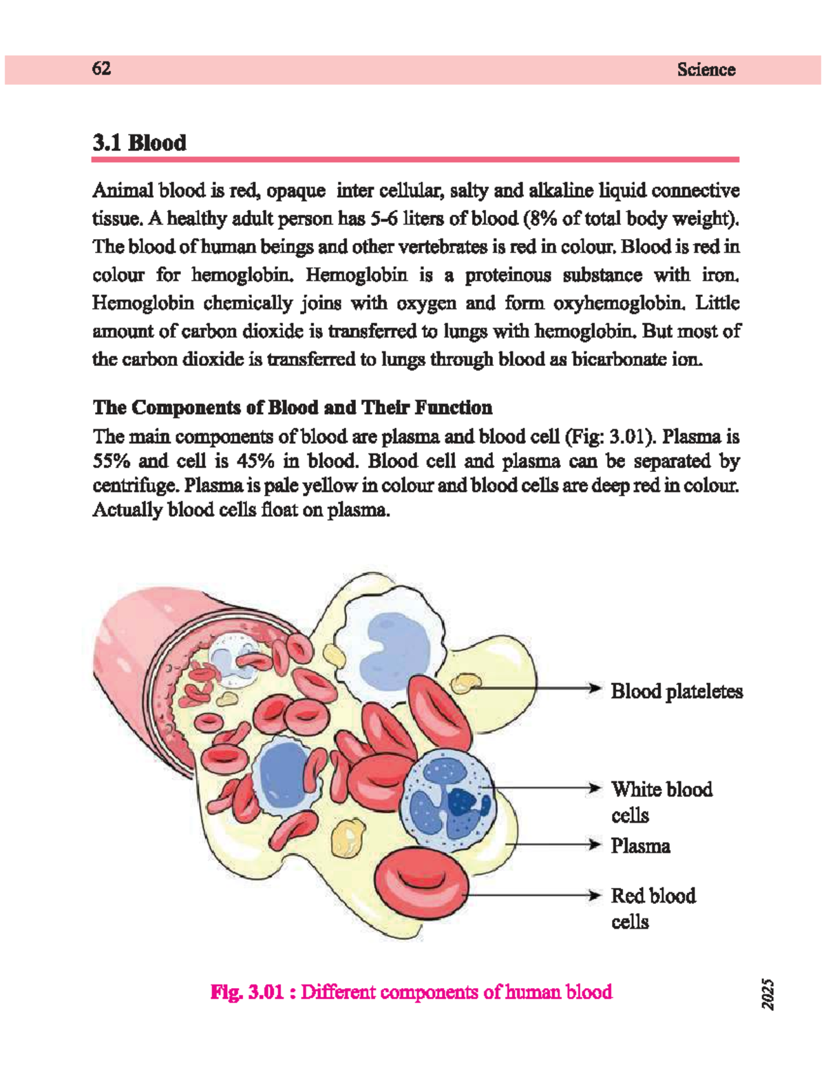 62 Science 3.1 Blood: Components, Functions, and Circulation Overview ...