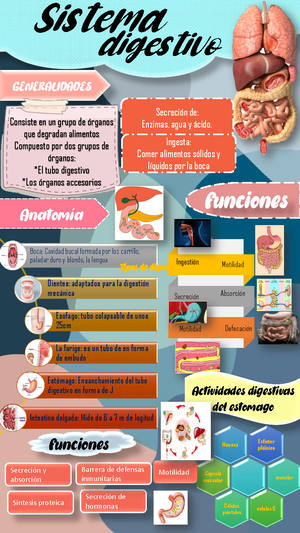 Formulario 051. FORMULARIO PARTOGRAMA - HISTORIA CLÍNICA MATERNA ...