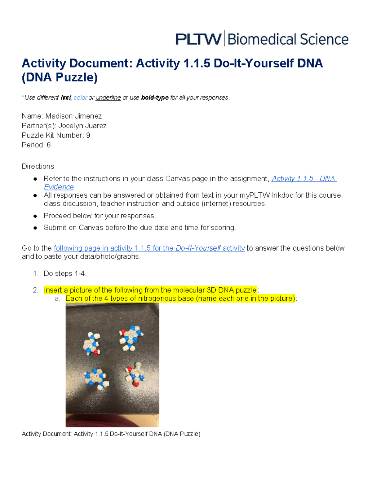 Copy of Copy of Activity Document Activity 1.1.5 Do-It-Yourself DNA (DNA Puzzle) - Activity ...