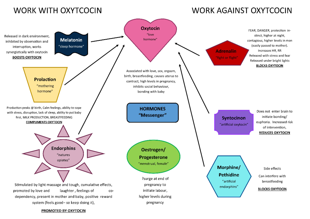 Hormones During Labour: Understanding the Role of Oxytocin in Birth ...