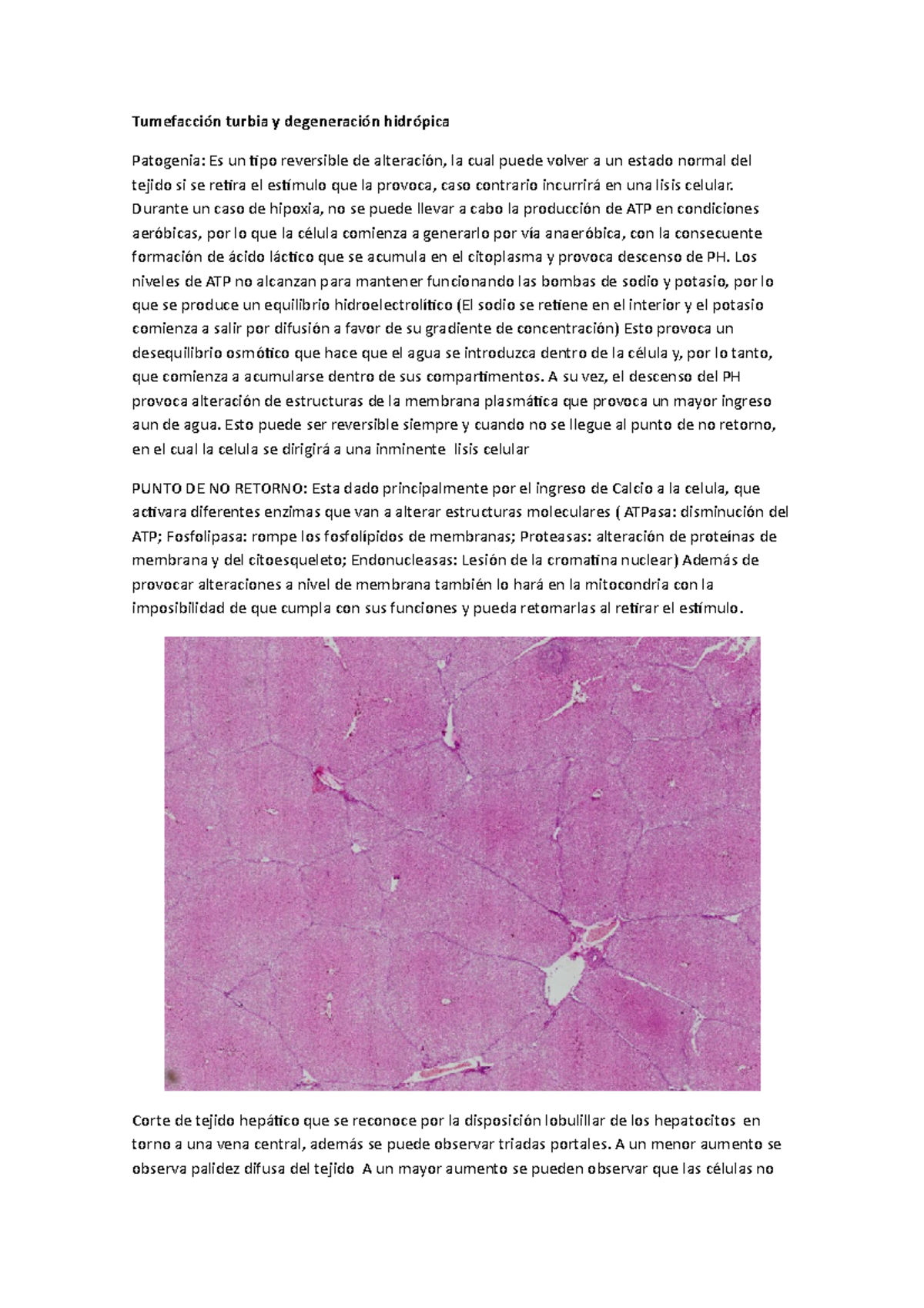 Estudio de Patología: Tumefacción, Degeneración y Necrosis en Tejidos ...