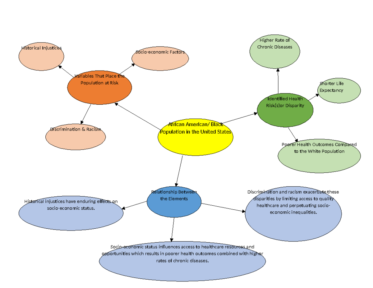 NR586 Module 2 Health Disparities Concept Map - African American/ Black Population in the United ...