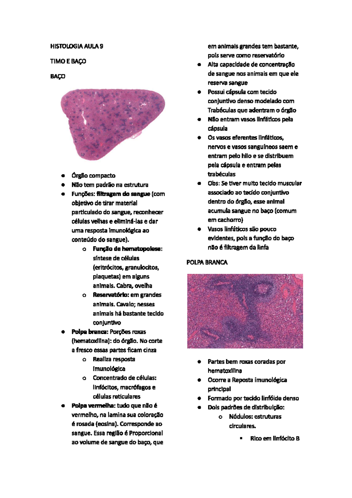 Histologia AULA 9: Estruturas do Timo e Baço - Studocu