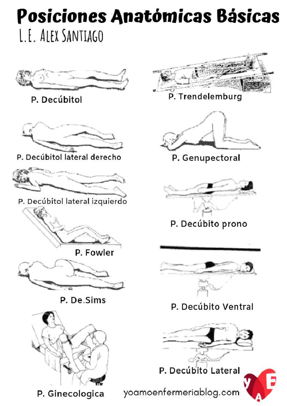 Posiciones anatomicas - Posiciones Anatómicas Básicas L. ALEX SANTIAGO P. Decúbitol P ...
