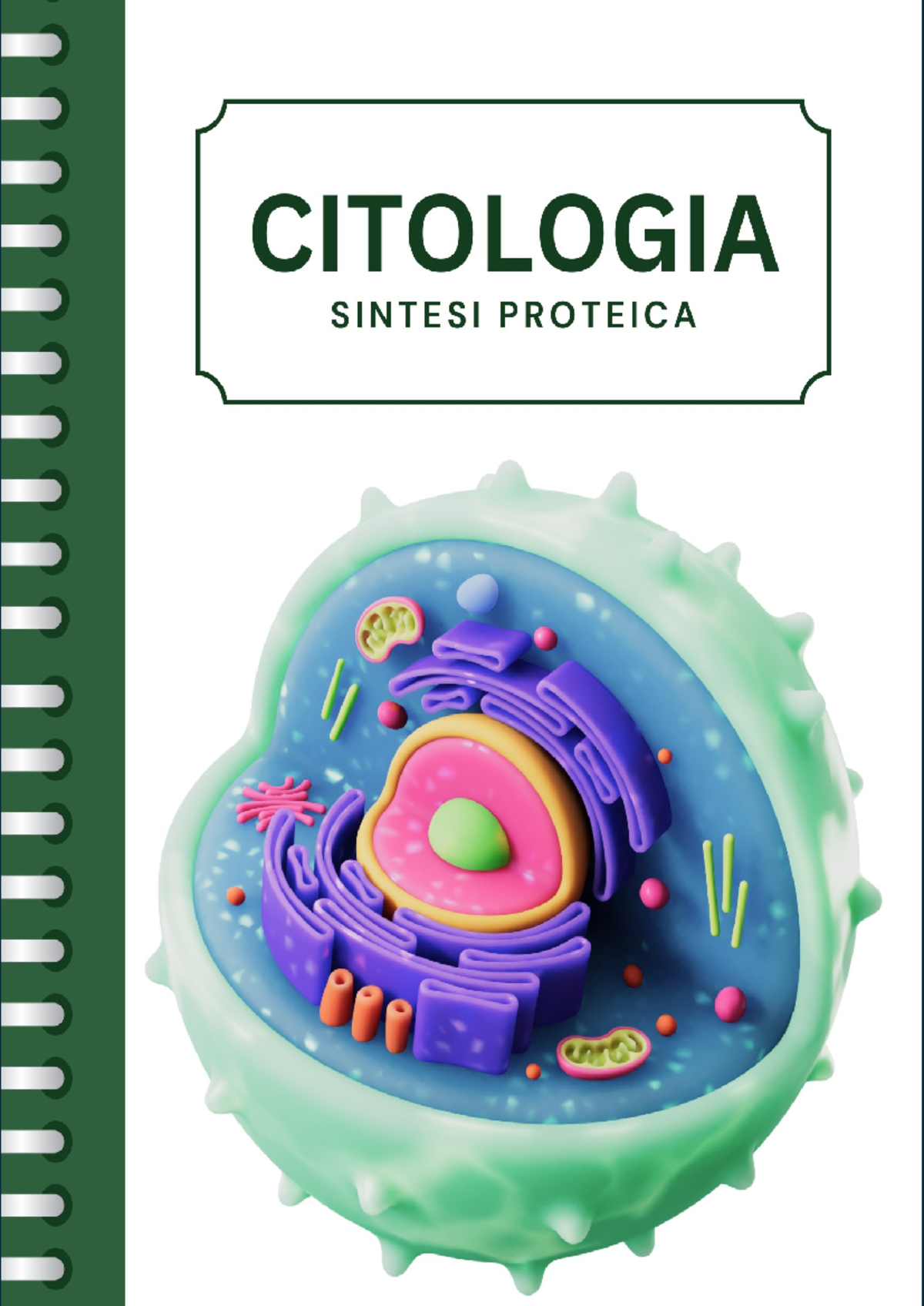 CIT 3: Sintesi Proteica e Struttura del Citosol e RE - Studocu