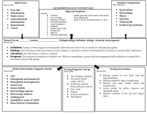 Heart Failuren patho - PATHOPHYSIOLOGY CONCEPT MAP Medical ...