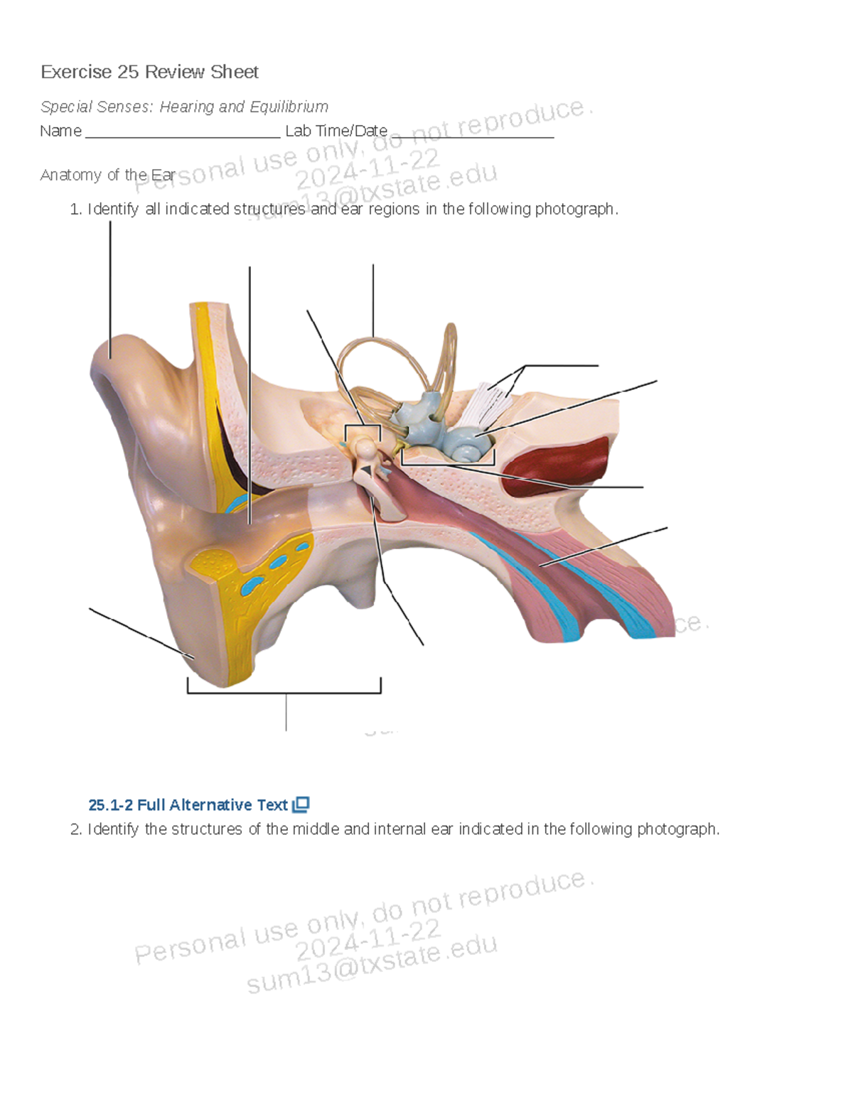 Anatomy Lab Manual - Special Senses (Hearing & Equilibrium) 1938259 ...