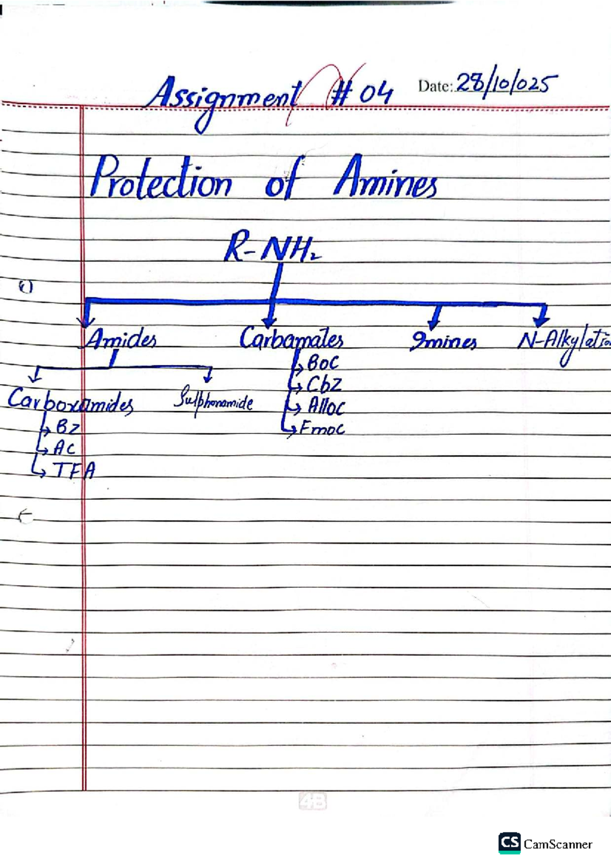 MPhil Organic Chemistry - Assignment 04: Protecting Groups for Amines ...