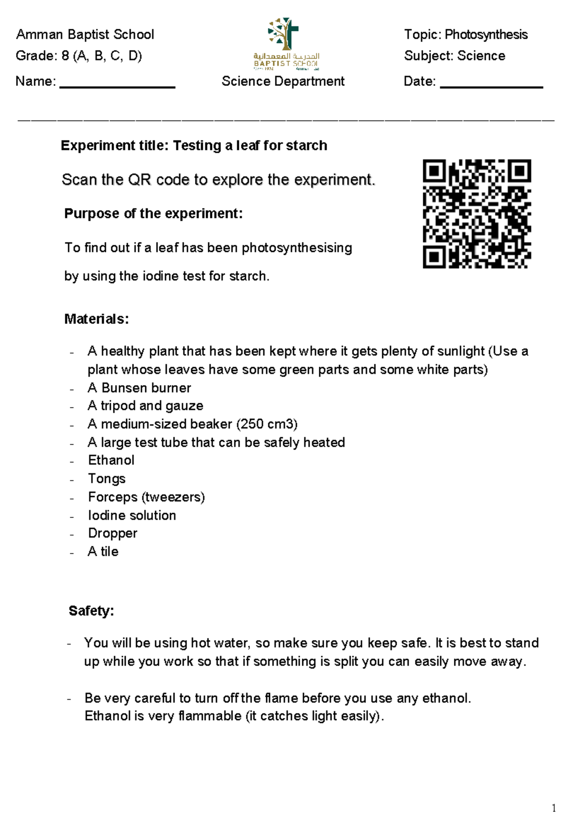 Grade 8 Science Lab Report: Testing Leaf Starch via Photosynthesis ...