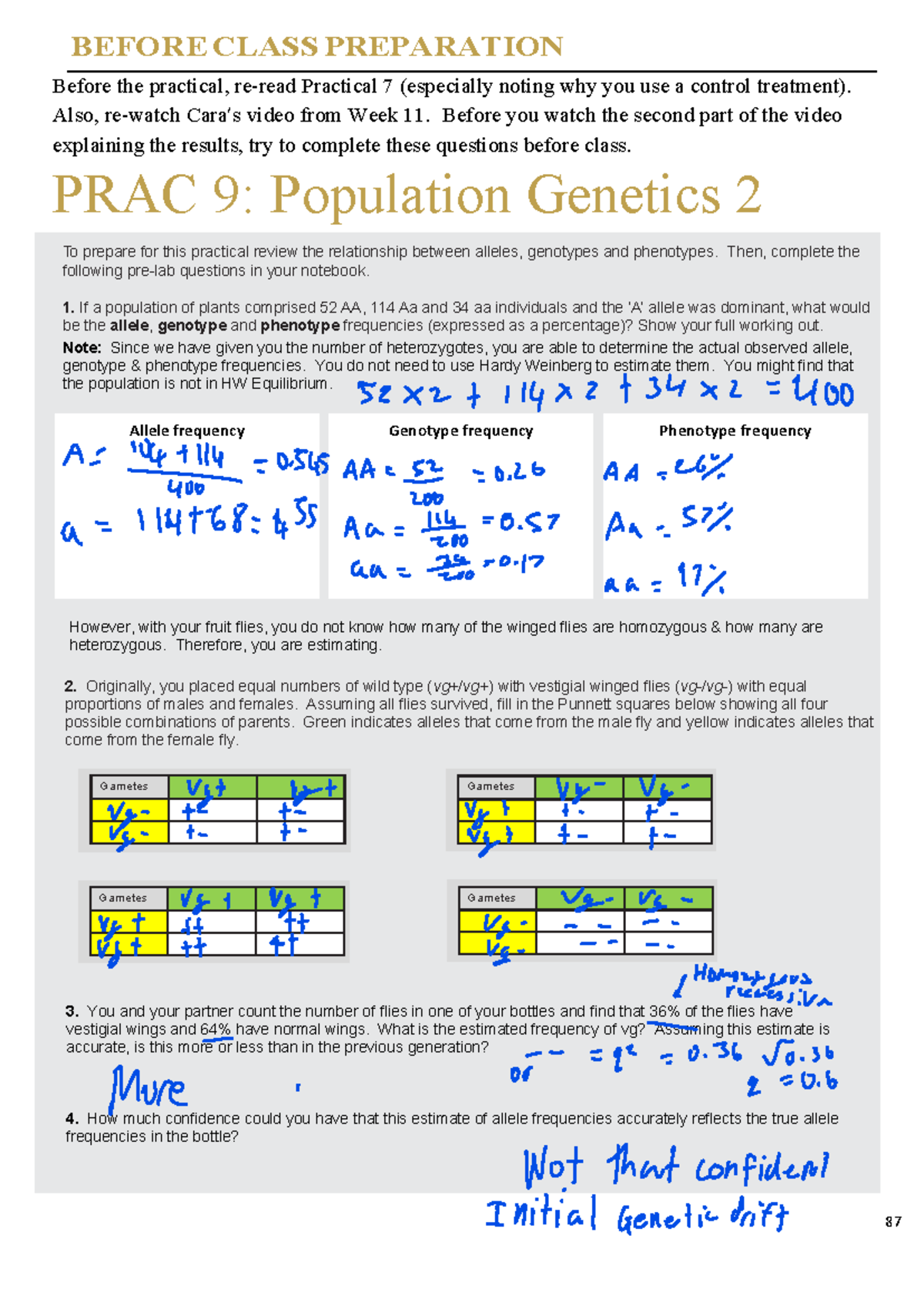 BIOL1020 Prac 9 - Population Genetics: Selection & Drift Analysis - Studocu
