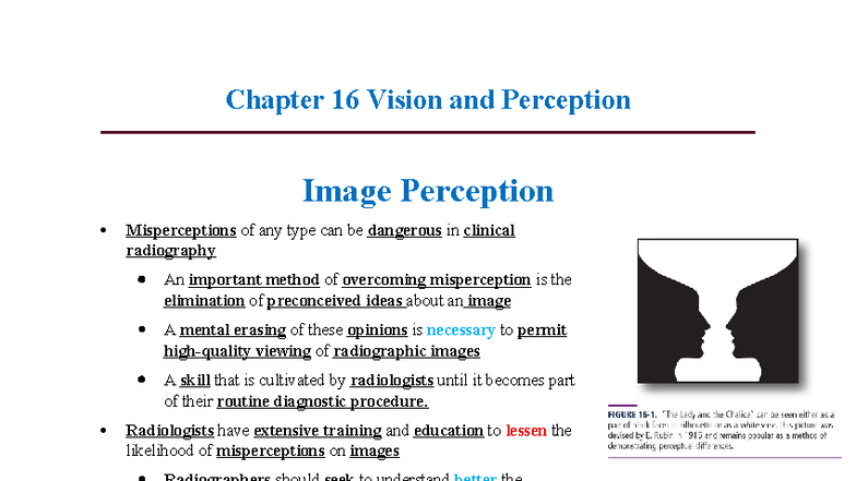 Chapter 16: Vision and Perception in Clinical Radiography - Studocu