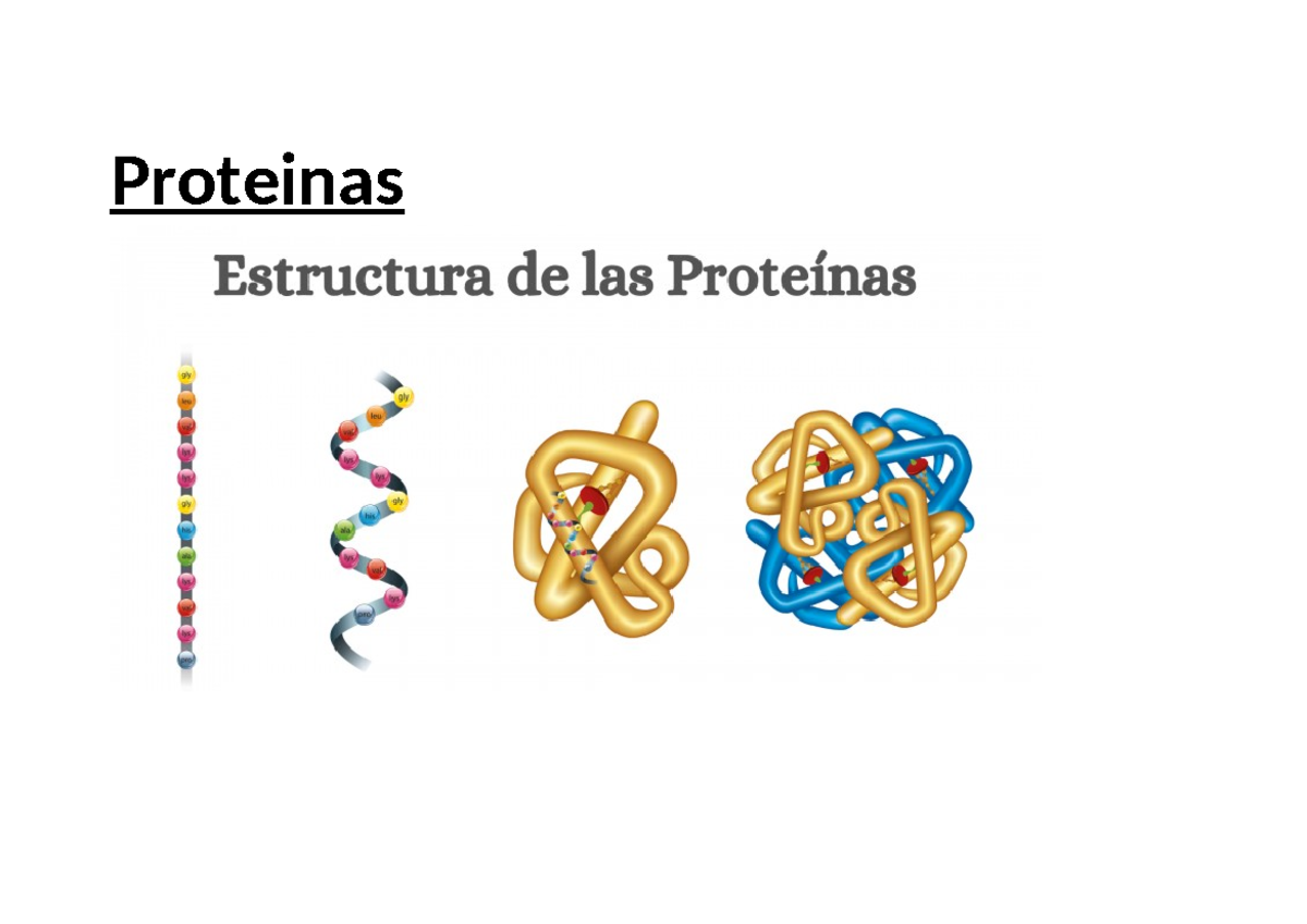 Estructura y Función de Proteínas y Ácidos Nucleicos - Biología 101 - Studocu