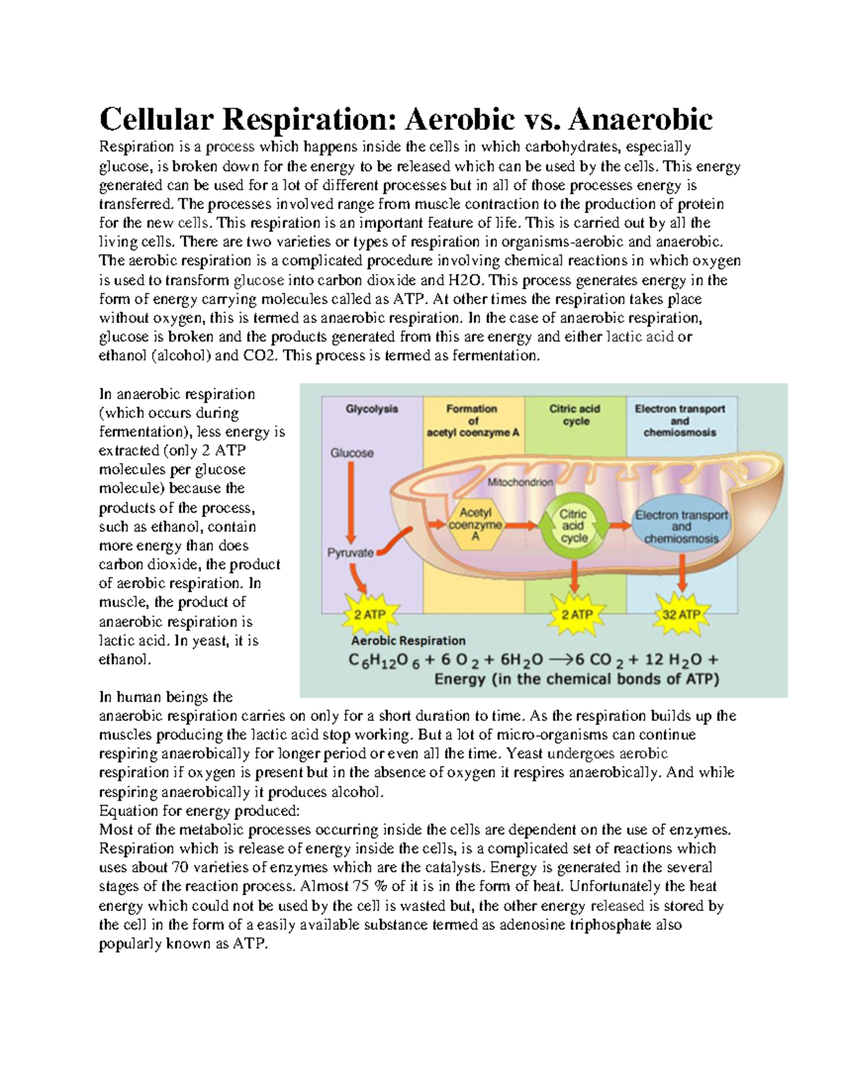 Cellular Respiration: Aerobic vs. Anaerobic Processes Explained - Studocu