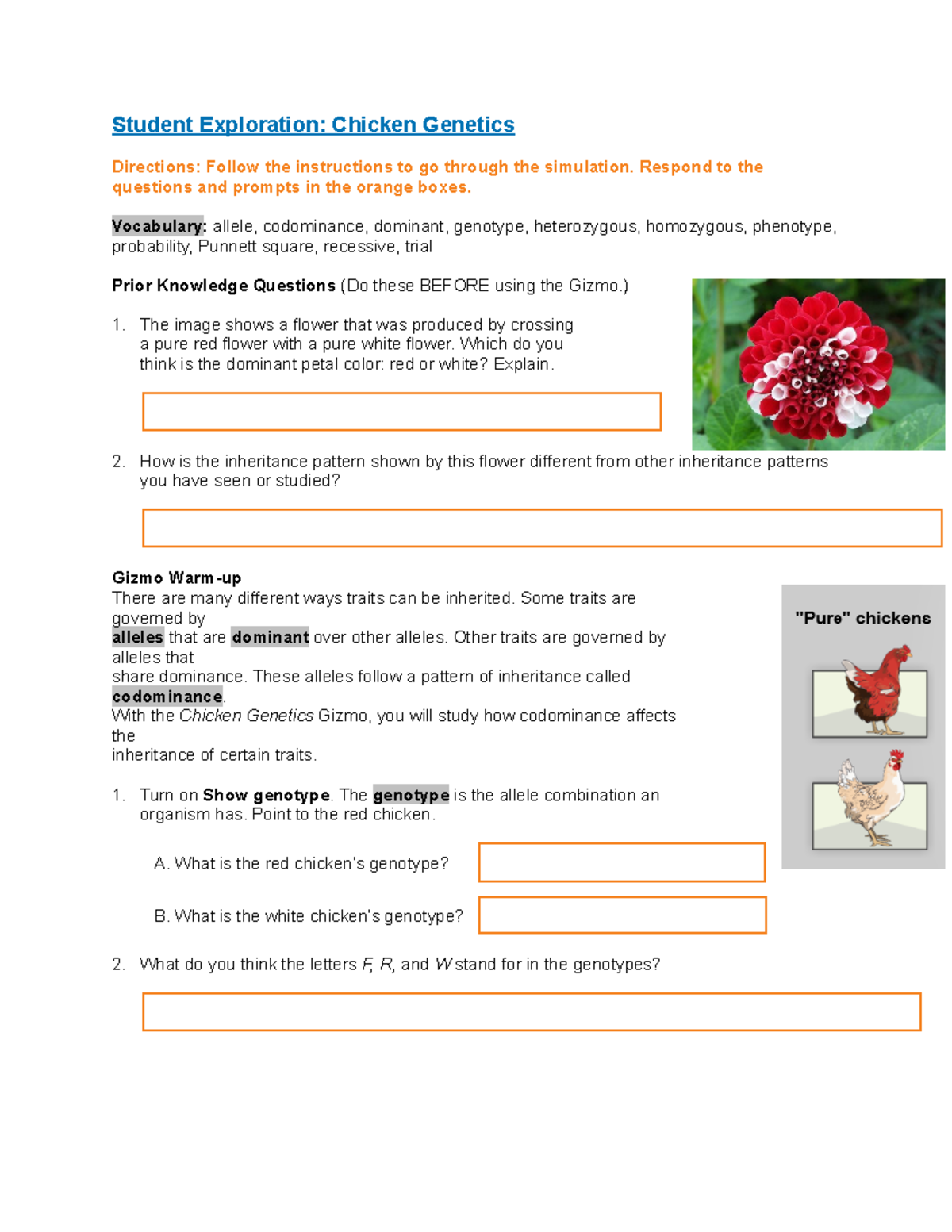 Untitled document - Gizmo on chicken genetics - Student Exploration ...