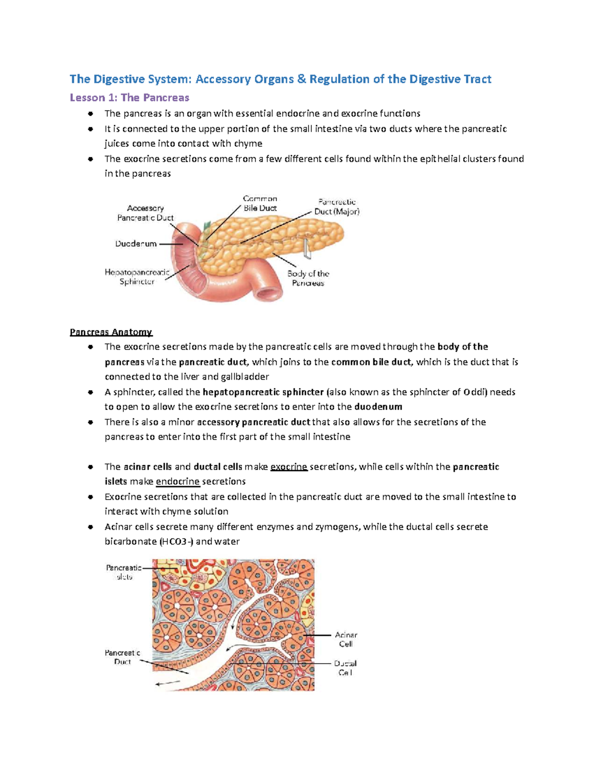 Week 25 Notes - Week 25: the digestive system: accessory organs ...