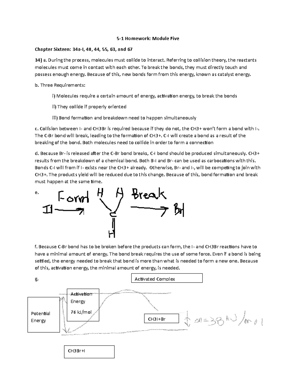 Module 5 Homework - 5-1 Homework: Module Five Chapter Sixteen: 34a-I ...