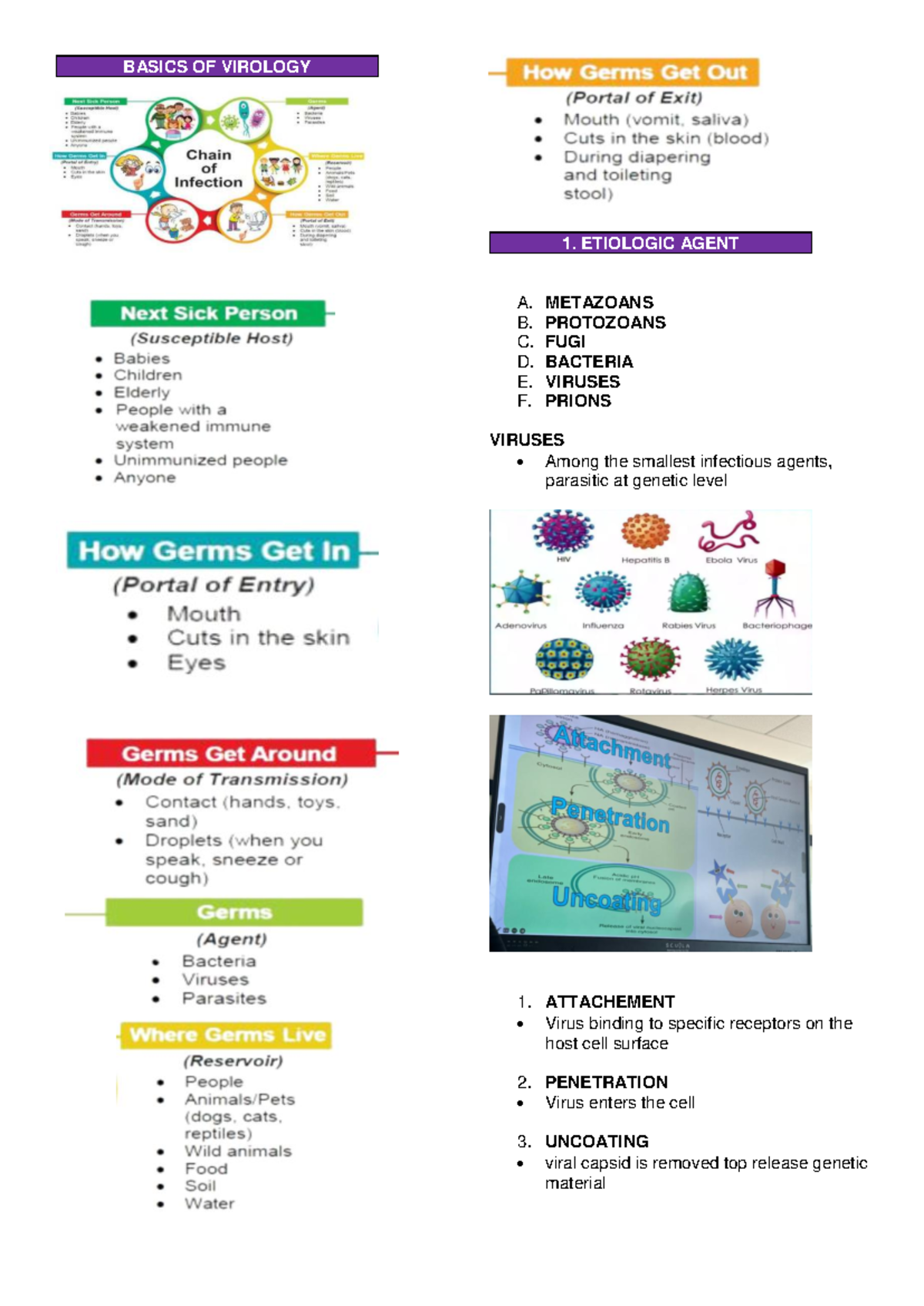 Commph LEC - Midterm Basics OF Virology - BASICS OF VIROLOGY 1 ...