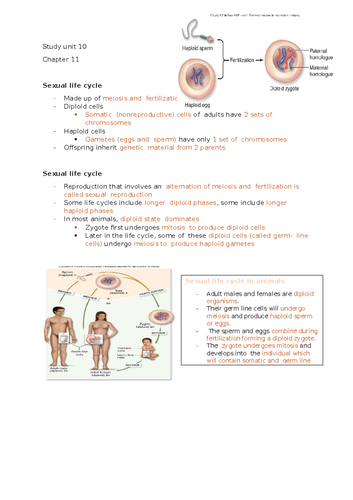 Mcbn Study Unit 10: Chapter 11 - Sexual Life Cycle & Meiosis Overview ...