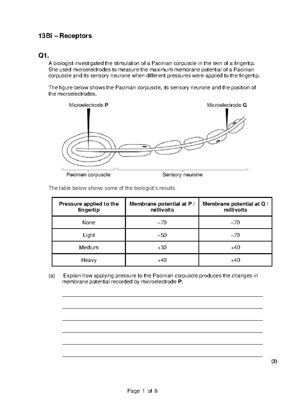 13Bi Lesson 4 Receptors Practice Questions and Answers - Studocu