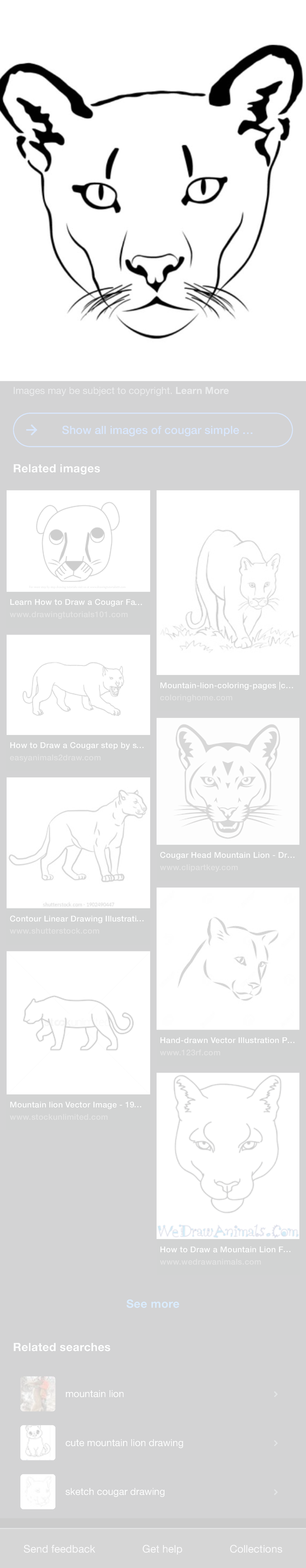 How To Draw A Cougar Step By Step