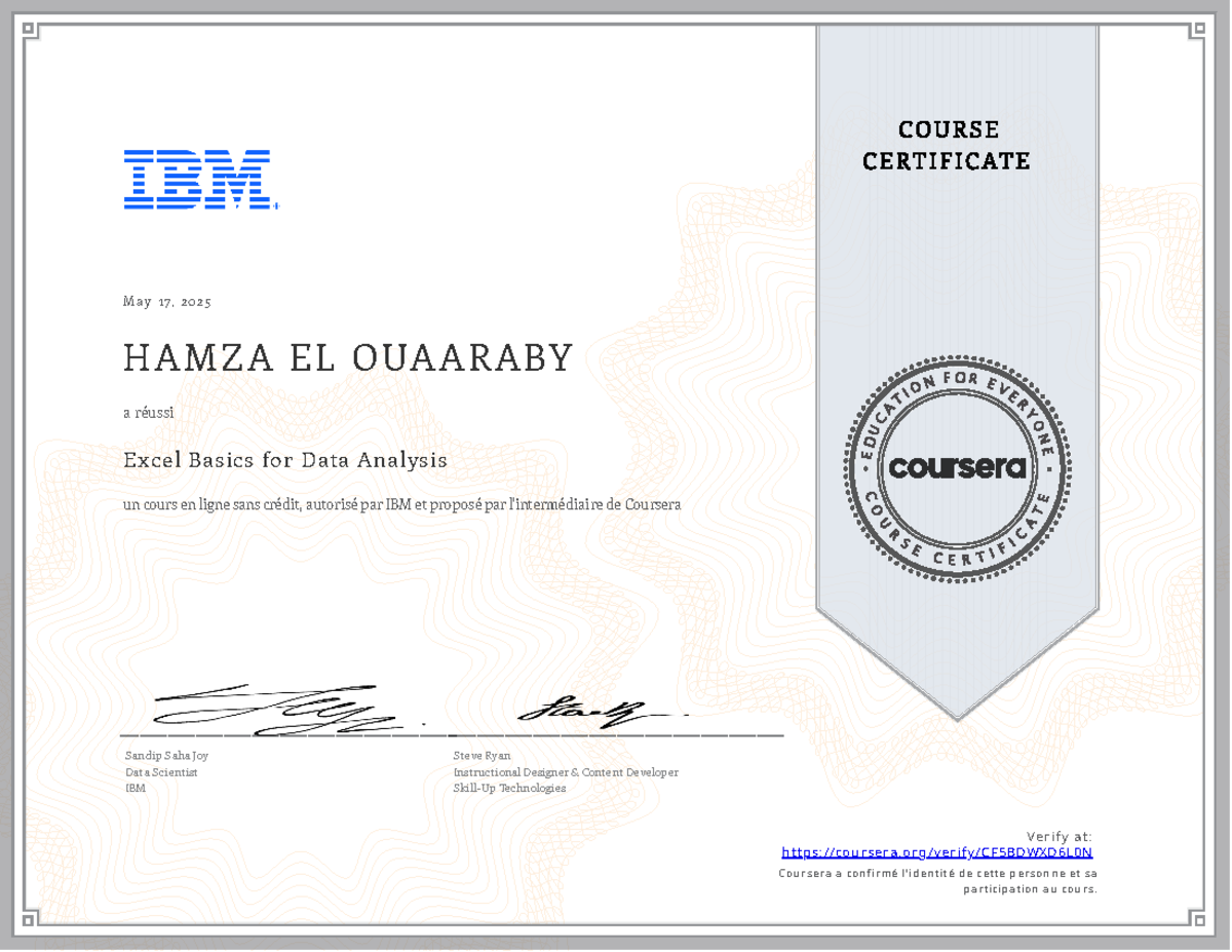 Excel Basics for Data Analysis - Coursera CF5BDWXD6L0N - Studocu