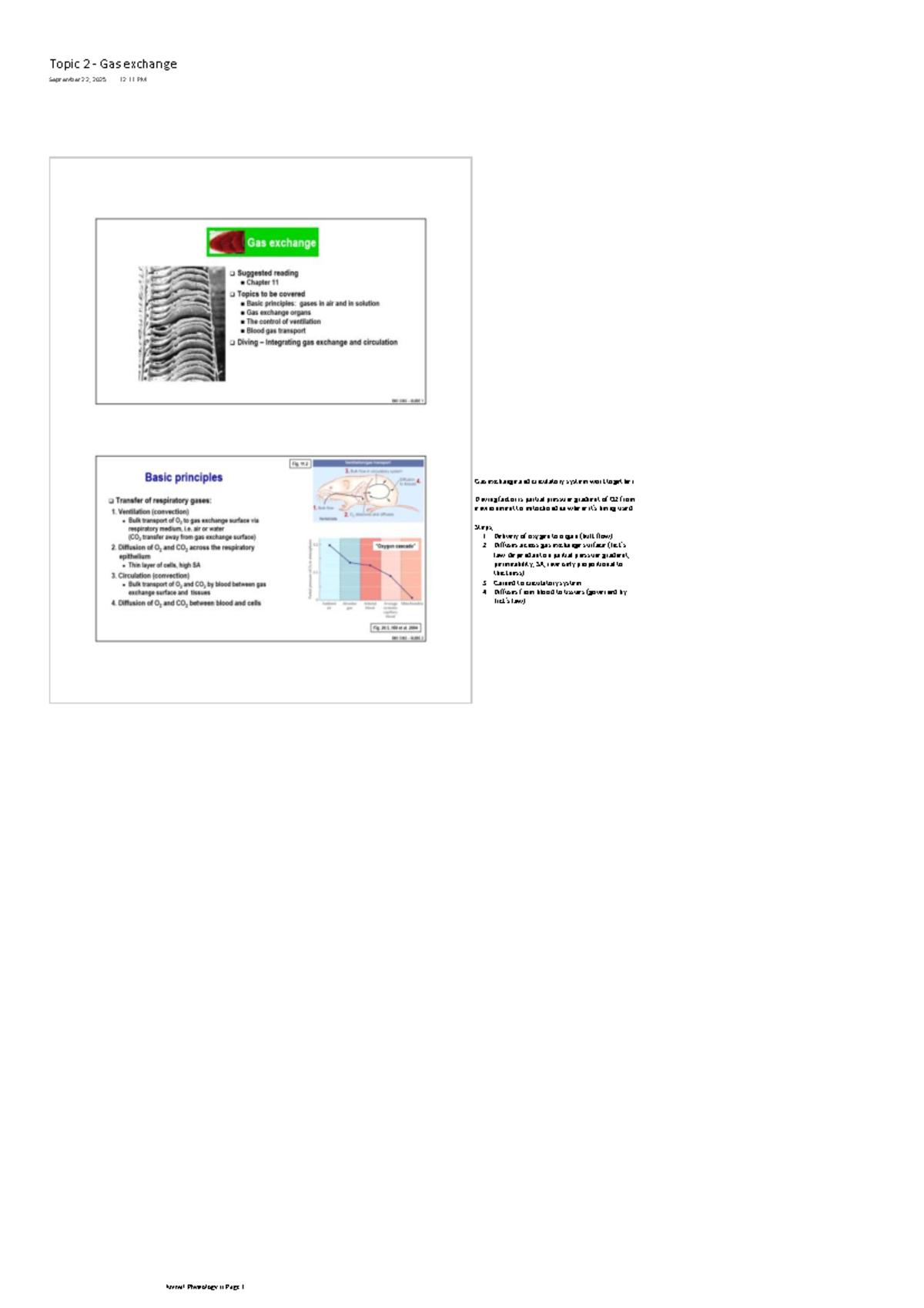 Topic 2 - Gas Exchange in Animal Physiology II - Studocu
