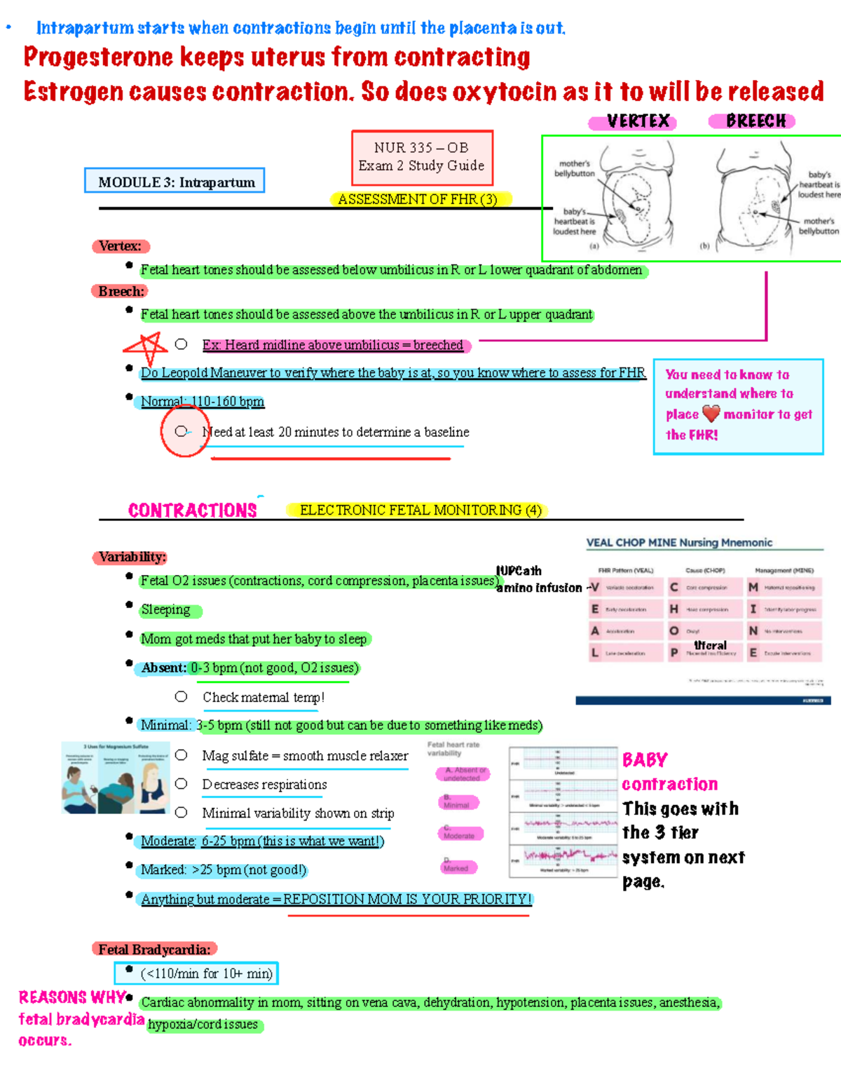 NUR 335 OB Exam 2 Study Guide: Intrapartum Assessment & Monitoring ...
