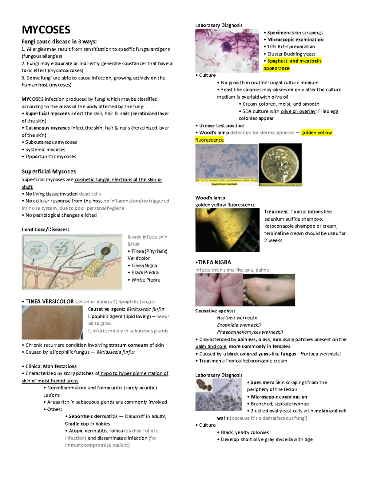 Mycoviro - MYCOSES Fungi cause disease in 3 ways: 1. Allergies may result from sensitization to ...