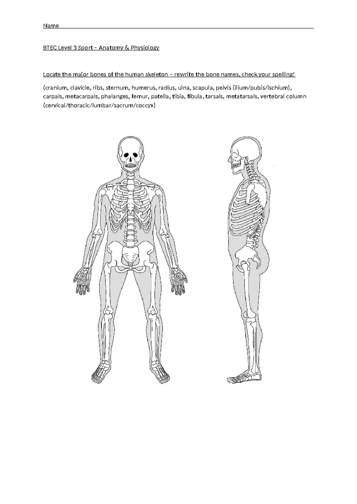 Unlabelled skeleton (with bone names) - Name BTEC Level 3 Sport ...