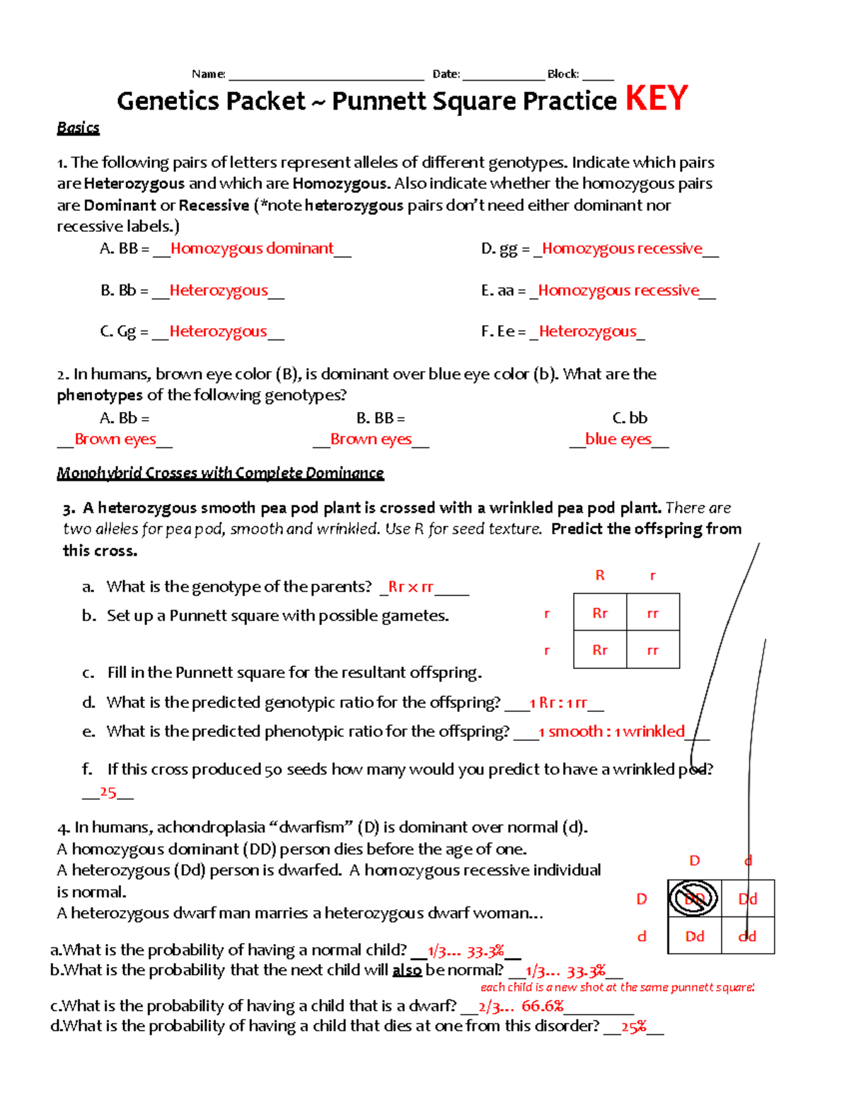Genetics Packet Answer Key - Punnett Square Practice (Final Exam) - Studocu