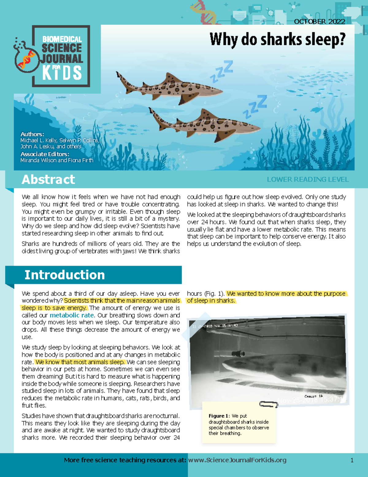 Shark sleep article lower level - ####### December 2017 Authors: Susan ...
