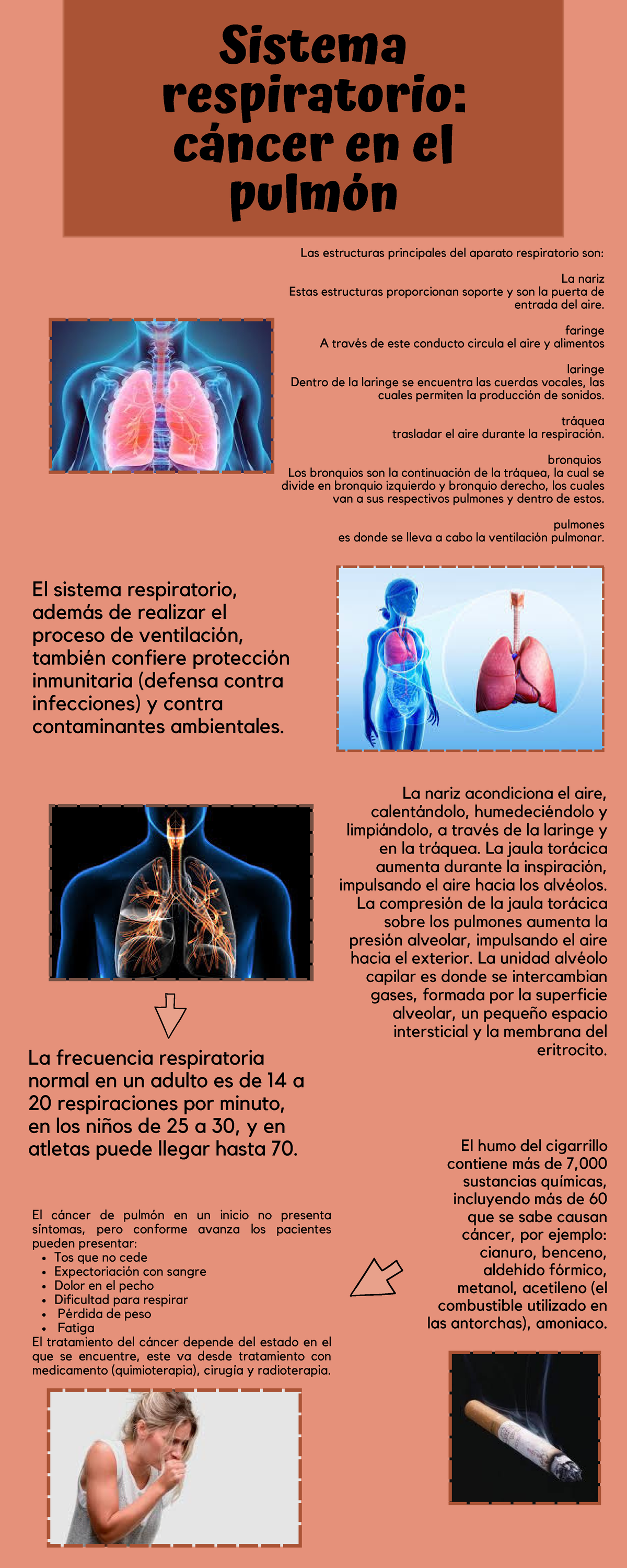 Infografía de desiertos en estilo collage prolijo, amarillo y violeta 2 ...
