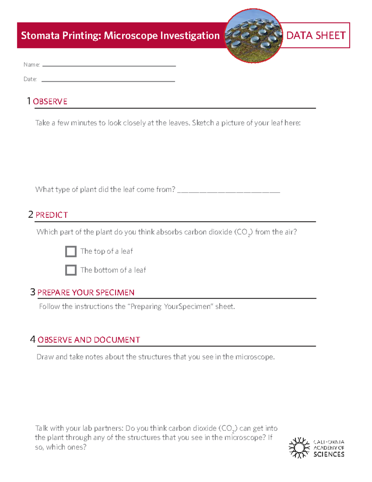 361s1 Stomata Printing: Microscope Investigation Worksheet - Studocu