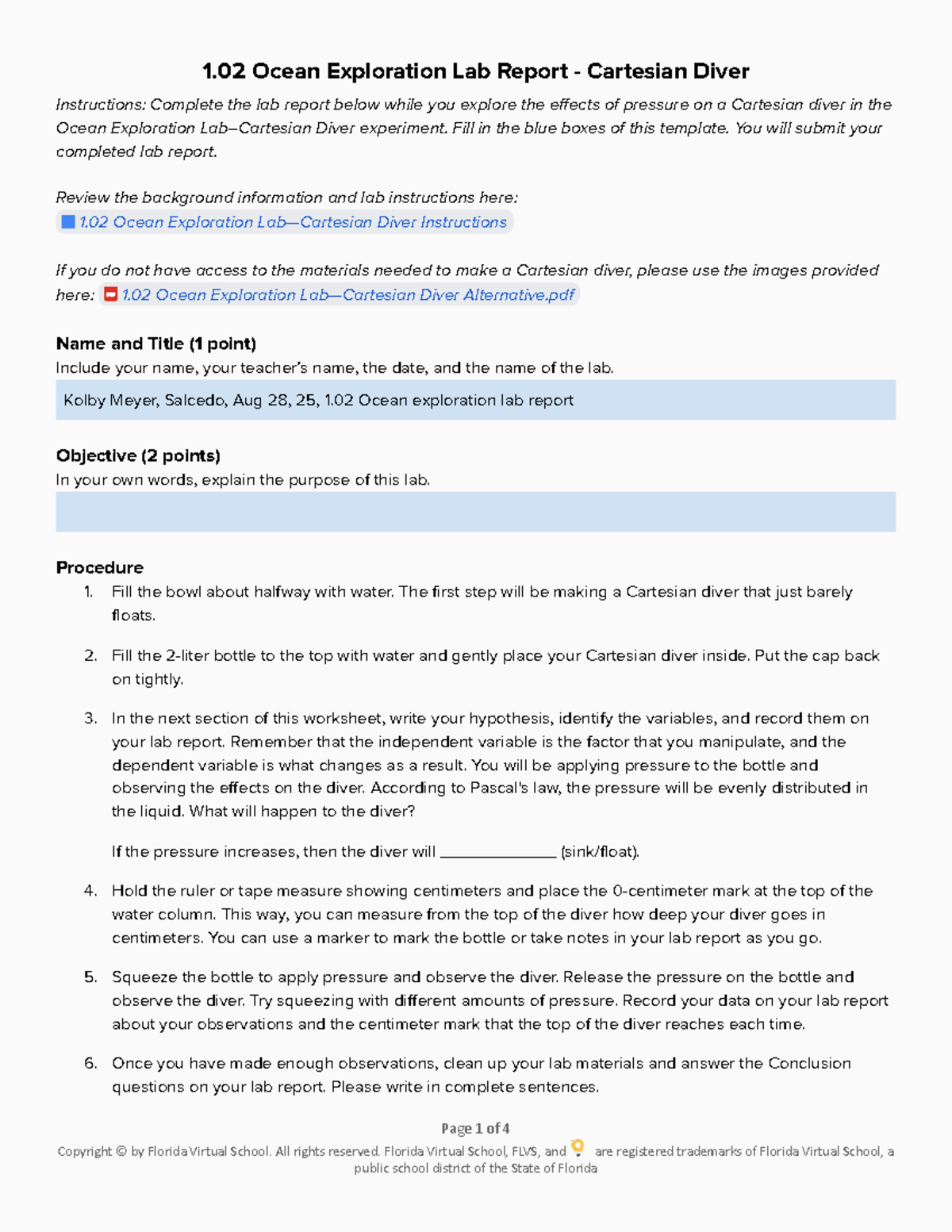 1.02 Ocean Exploration Lab Report: Cartesian Diver Experiment ...