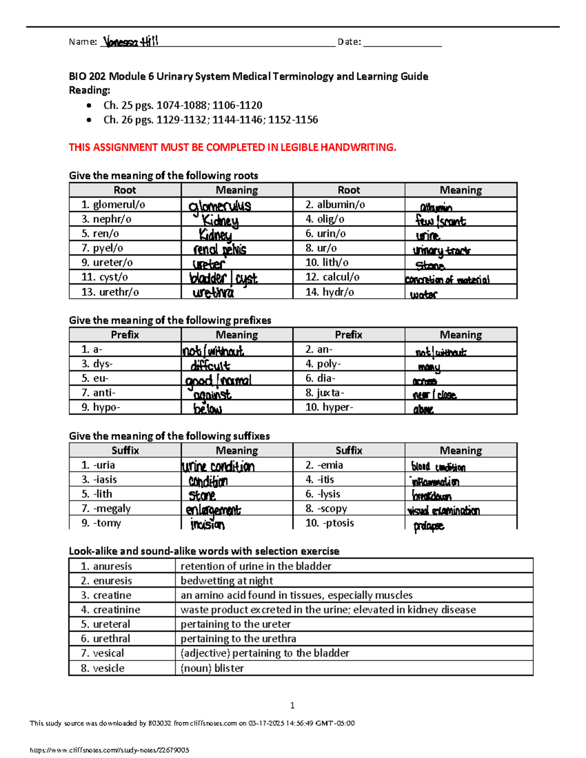 BIO 202 Module 6 Urinary System Learning Guide and Key Terms - Studocu