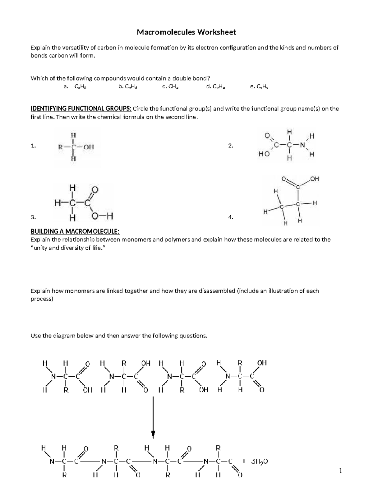 Macromolecules Worksheet and Study Guide: Key Concepts and Questions ...